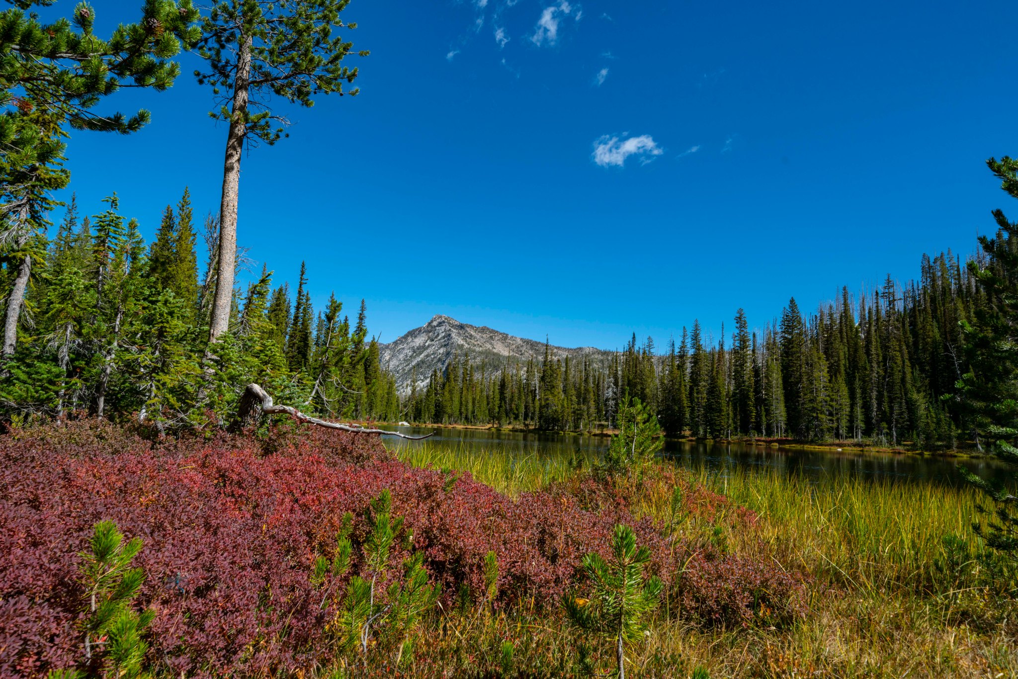 Enos Lake, (Day One) Payette National Forest