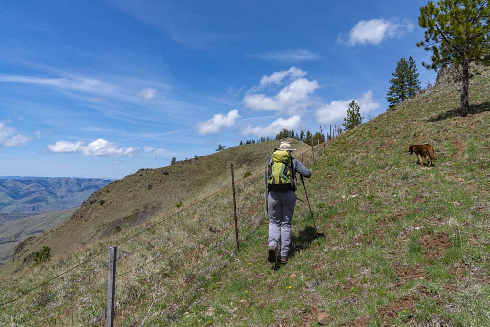 Wild Horse Butte and Camp Howard Ridge, Hells Canyon Area, Idaho