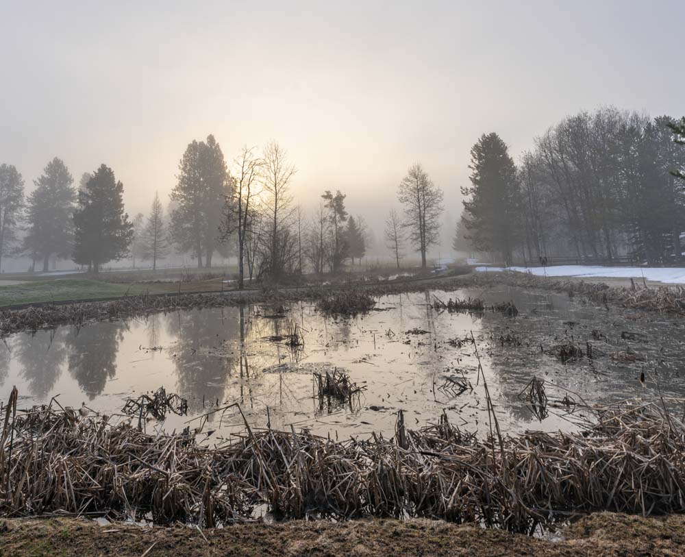 Misty Morning, McCall, Idaho