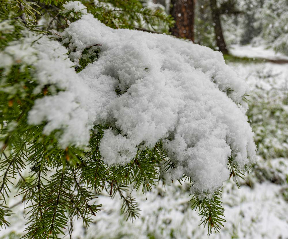 June Snow, McCall, Idaho