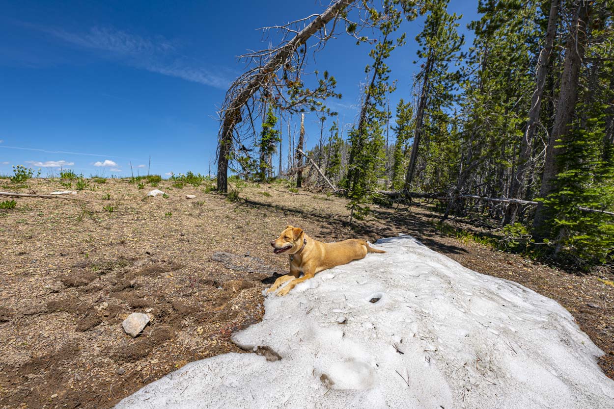 Cougar Lakes Basin, Episode 3, Frank Church Wilderness, Idaho