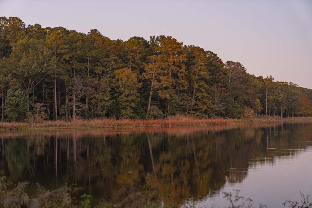 Roosevelt State Park, Morton, Mississippi