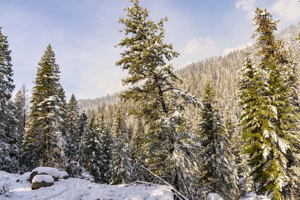 Snowdon Point, Payette National Forest, Idaho