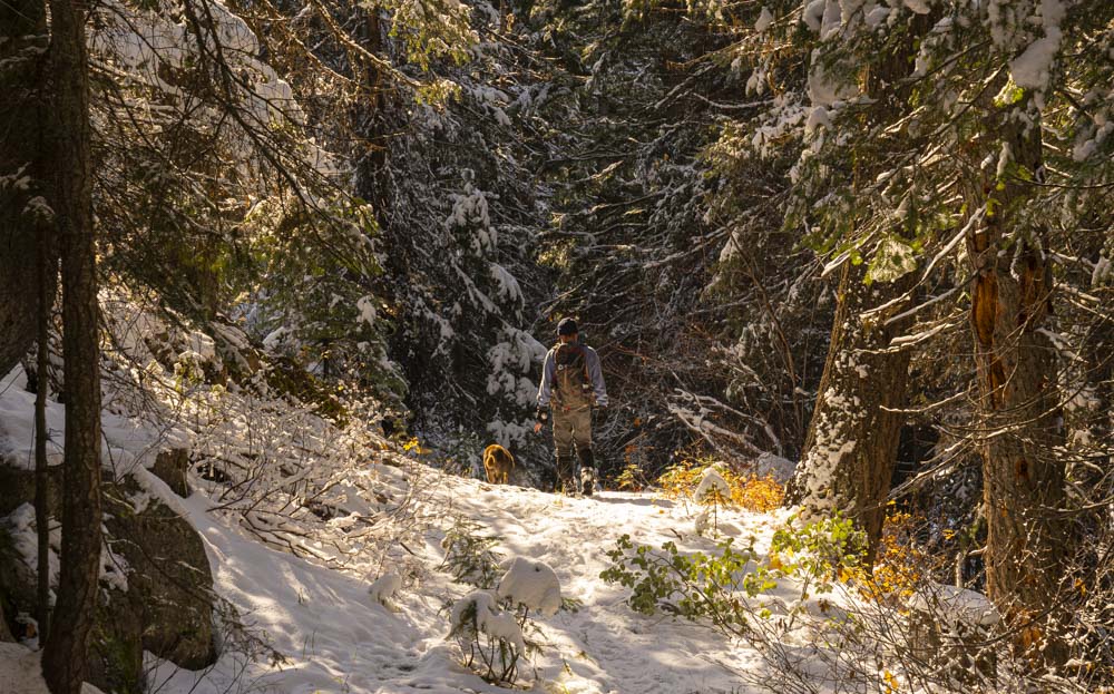 Snowdon Point, Payette National Forest, Idaho
