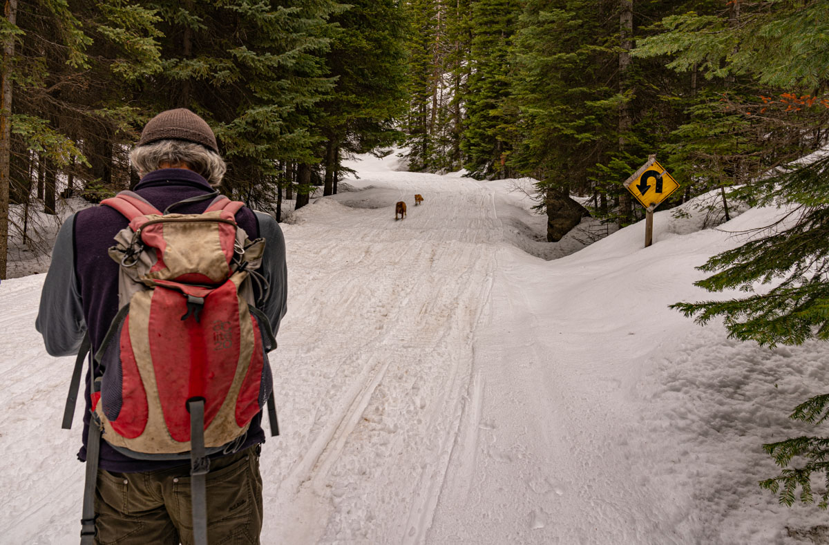 Snowdon Peak – Valley County, Idaho