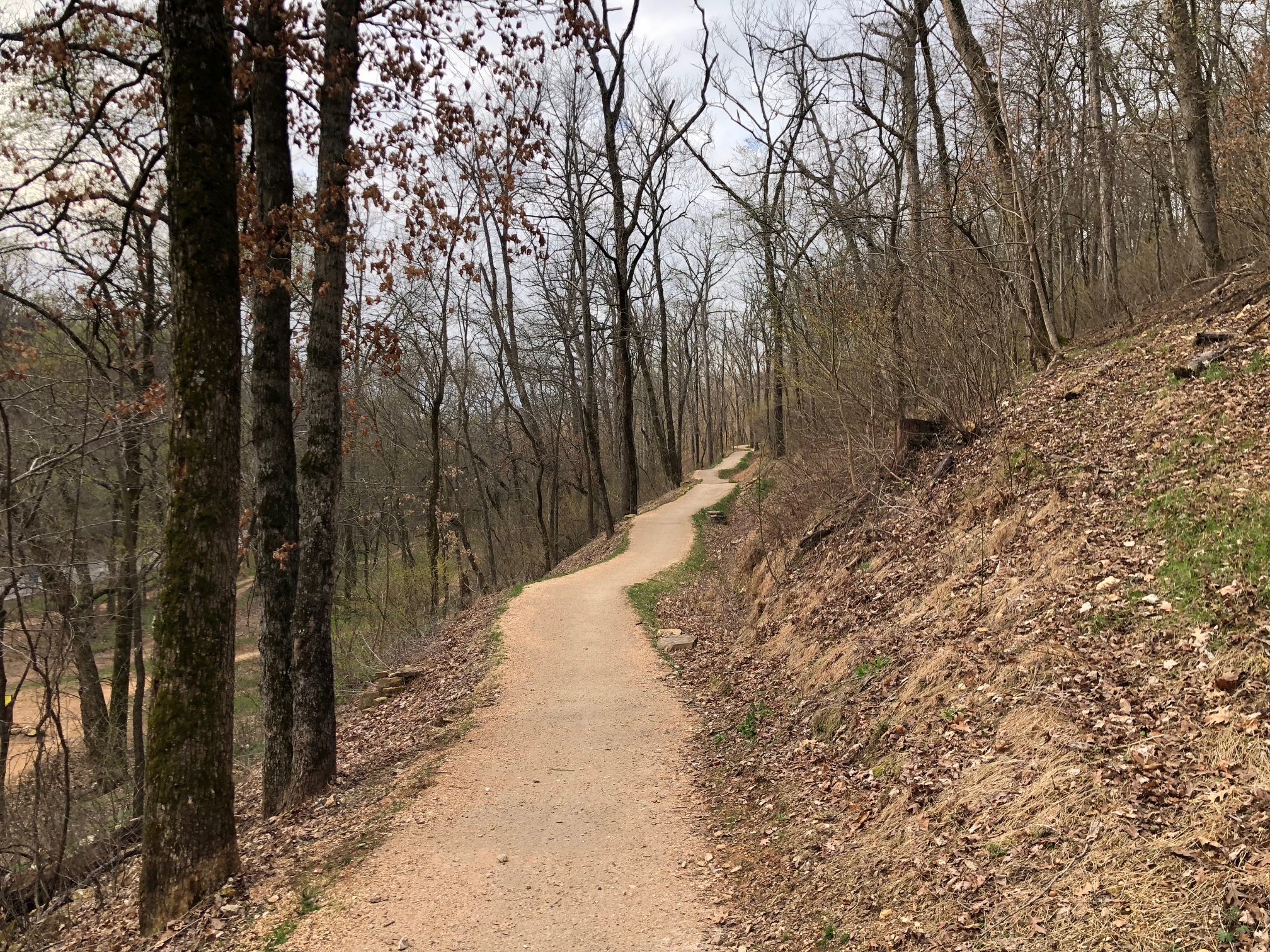 Coler Mountain Bike Preserve, Bentonville, Arkansas
