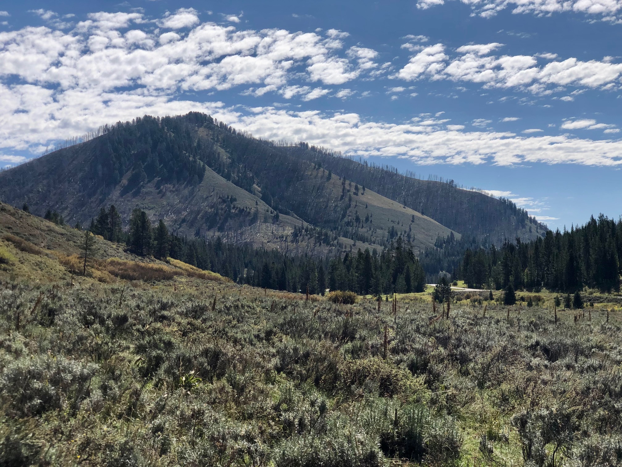 Battle Mountain – Bridger – Teton National Forest, Wyoming