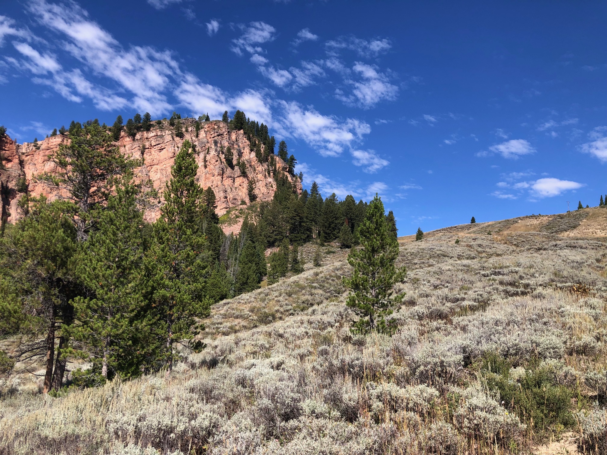 Battle Mountain – Bridger – Teton National Forest, Wyoming