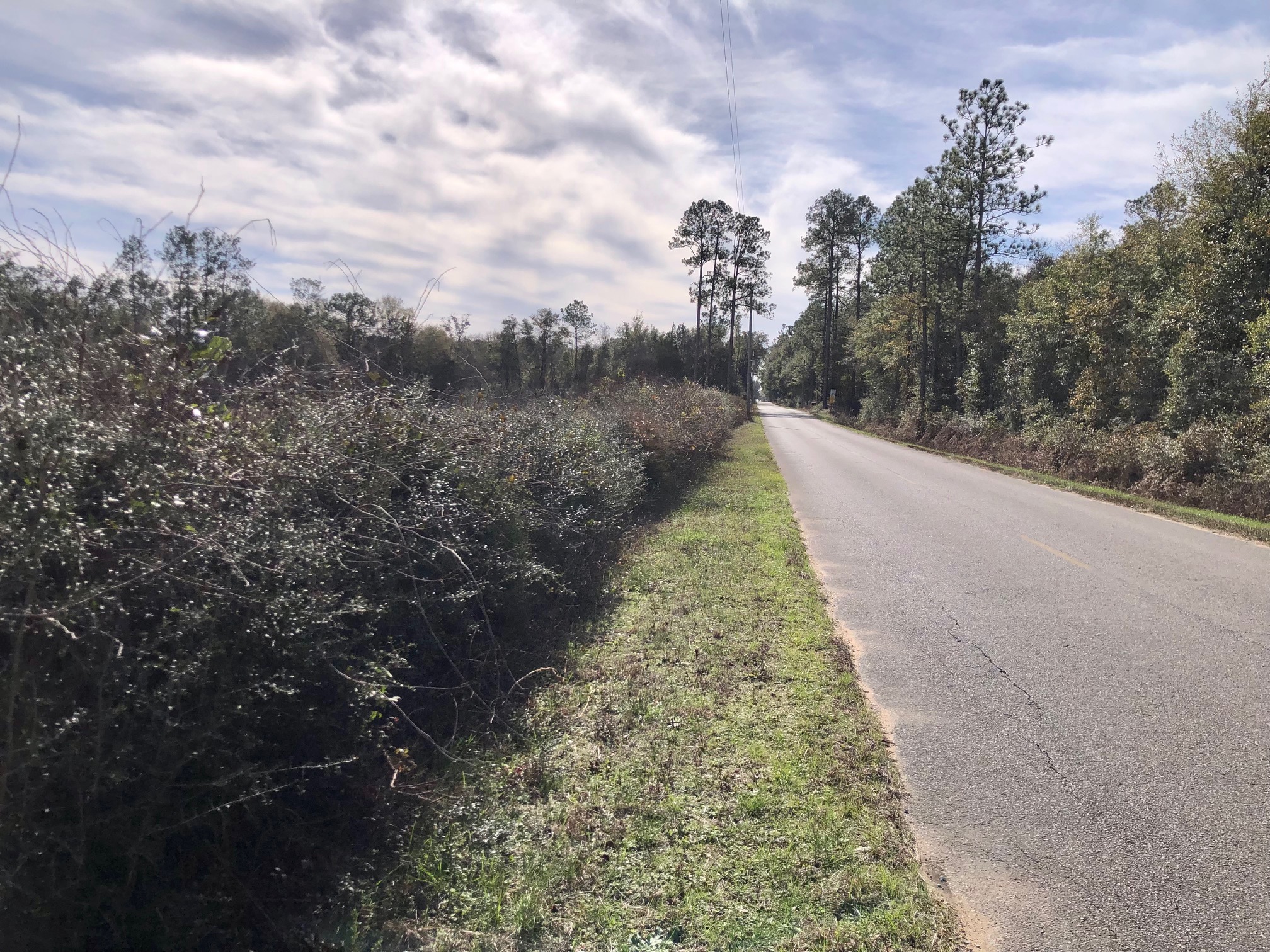 Blackwater Heritage State Trail – Milton, Florida
