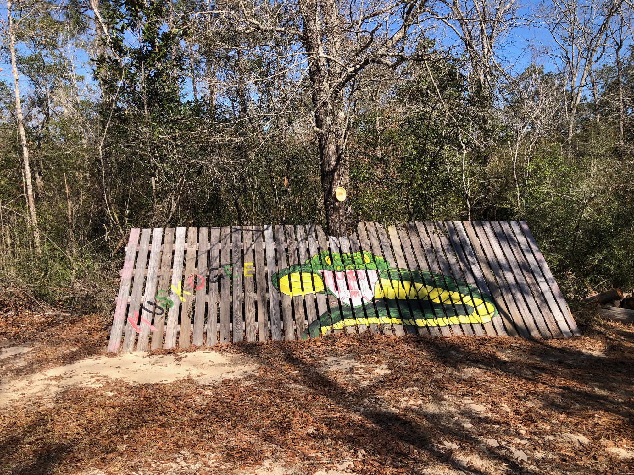 Muscogee Mountain Bike Trails – Cantonment, Florida