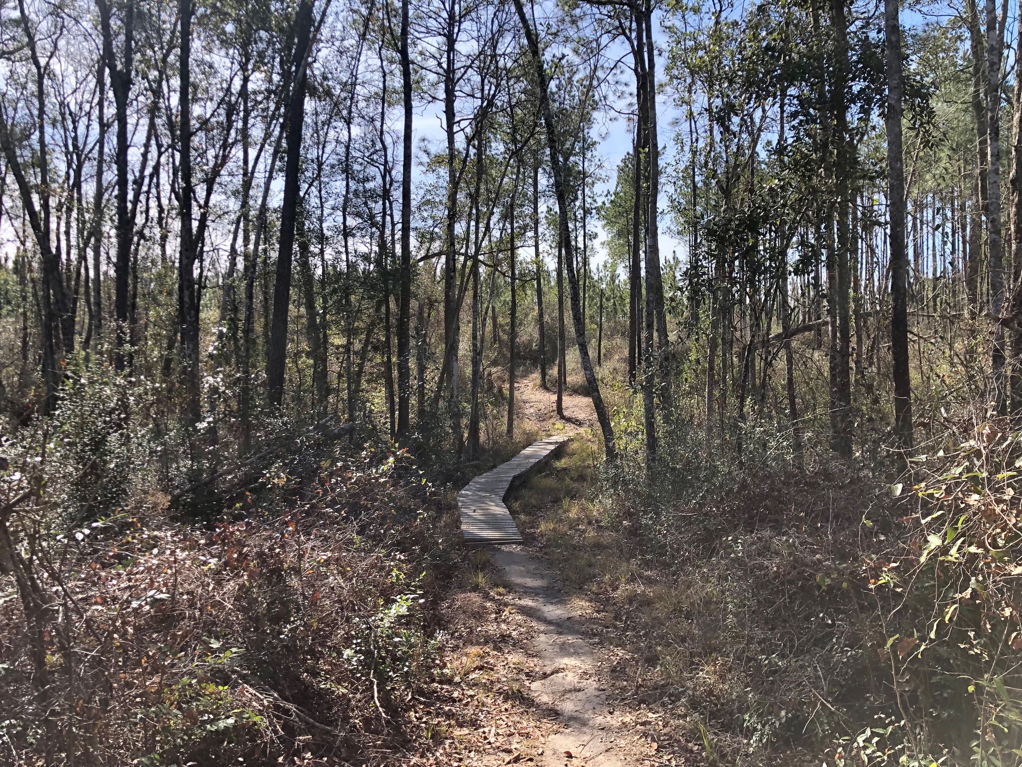 Muscogee Mountain Bike Trails – Cantonment, Florida