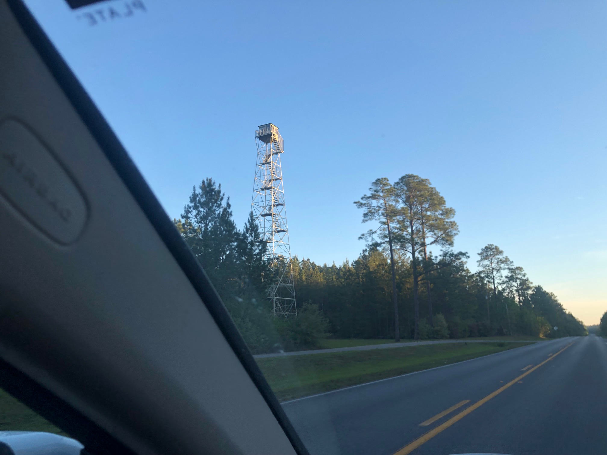 Coldwater – Big Loop – Blackwater State Forest, Florida