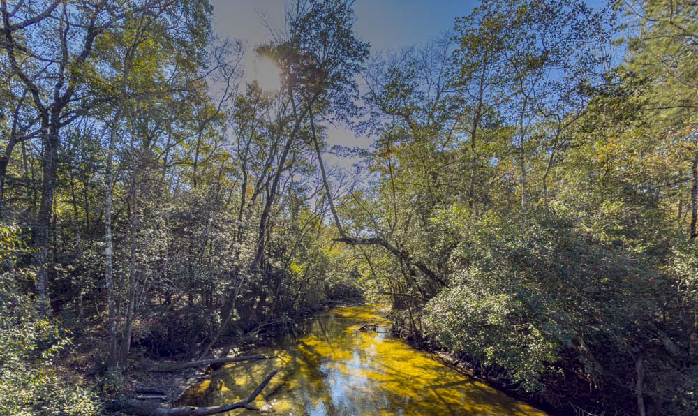 Not Another Wing Loop – Wing, Alabama