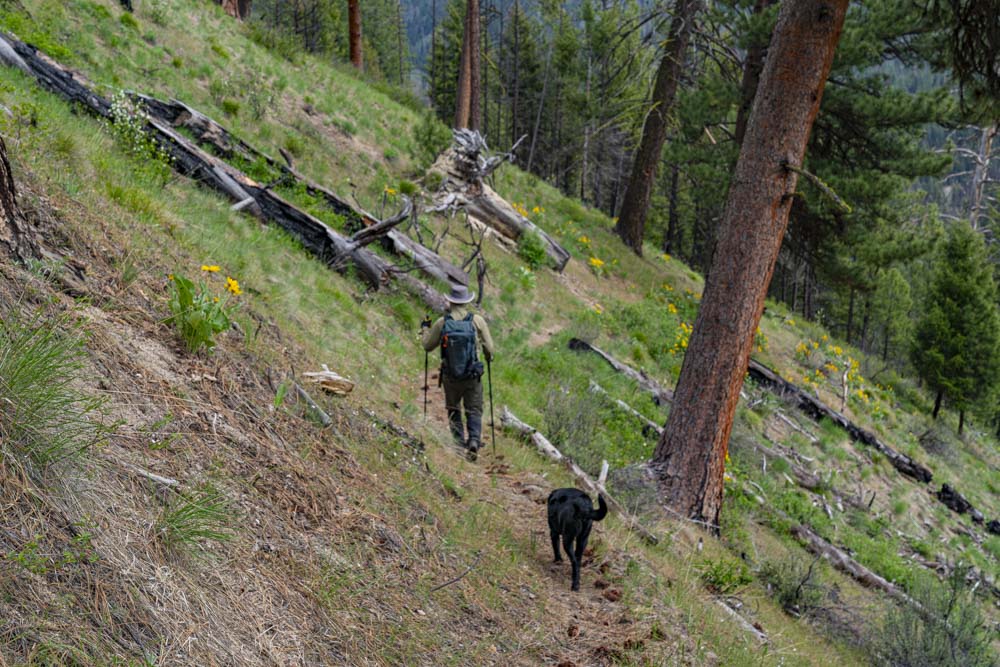 Martin Mountain – Miners Peak – Payette National Forest