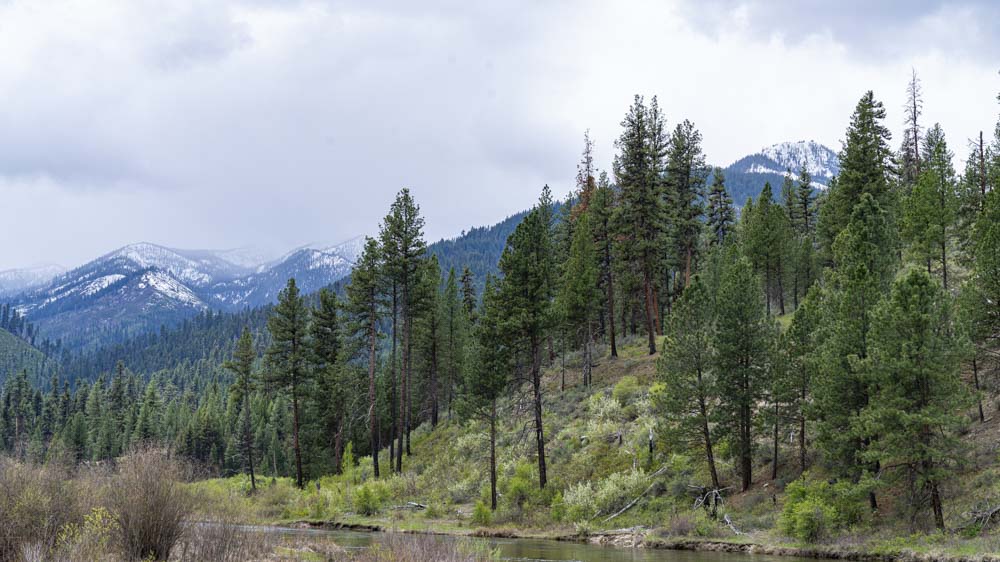Martin Mountain – Miners Peak – Payette National Forest